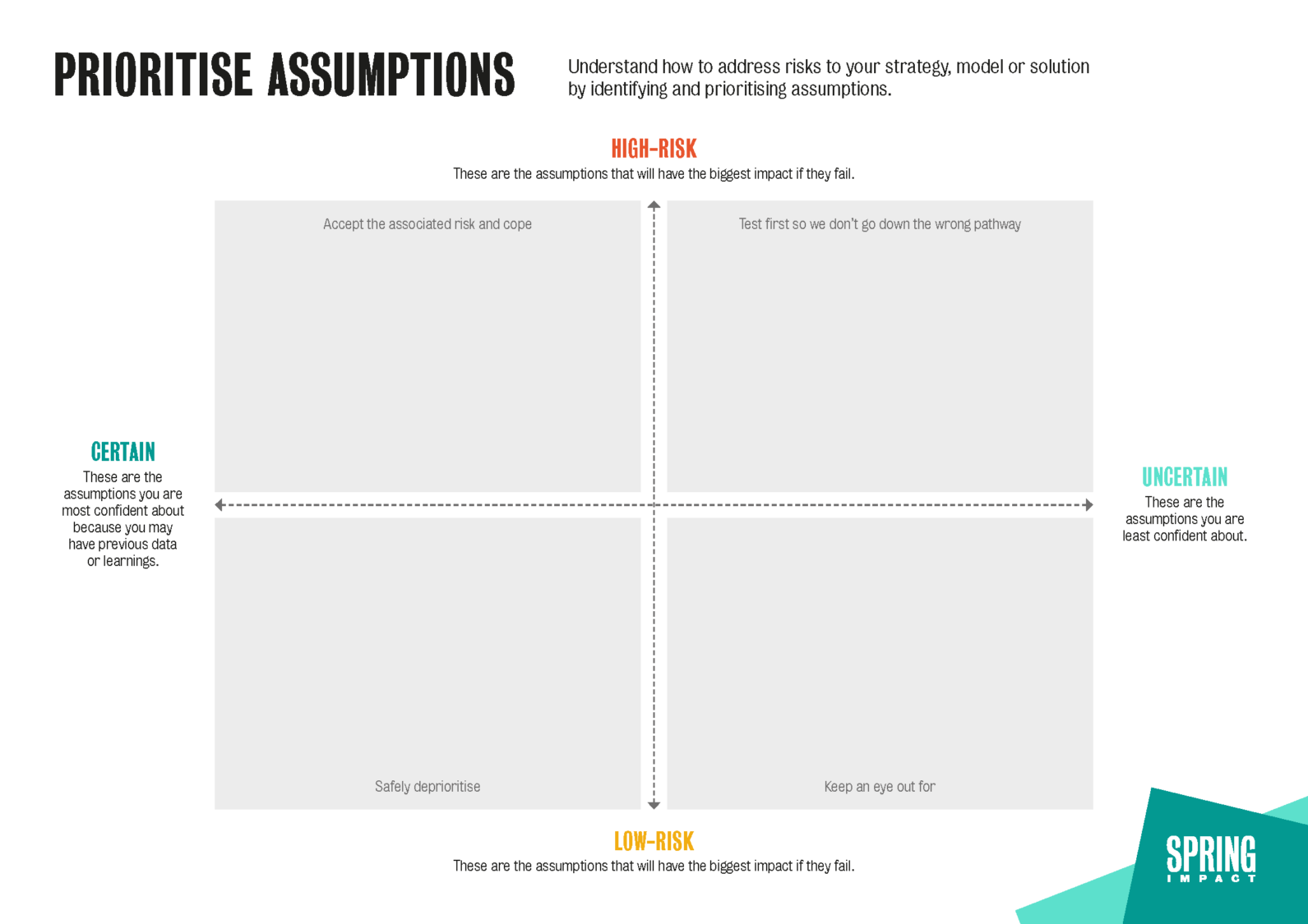Worksheet_02_Prioritise_Assumptions (1) • Spring Impact